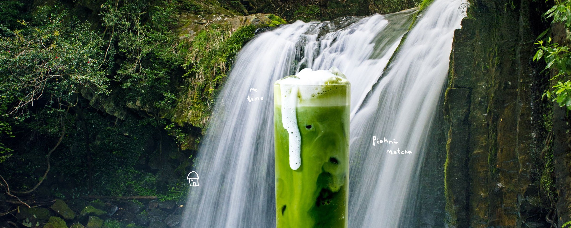 100% matcha powder from Japan | Piohní ceremonial matcha